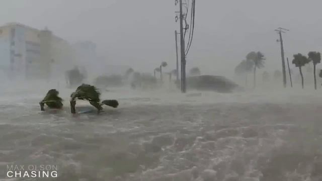 Во Флориде сейчас так