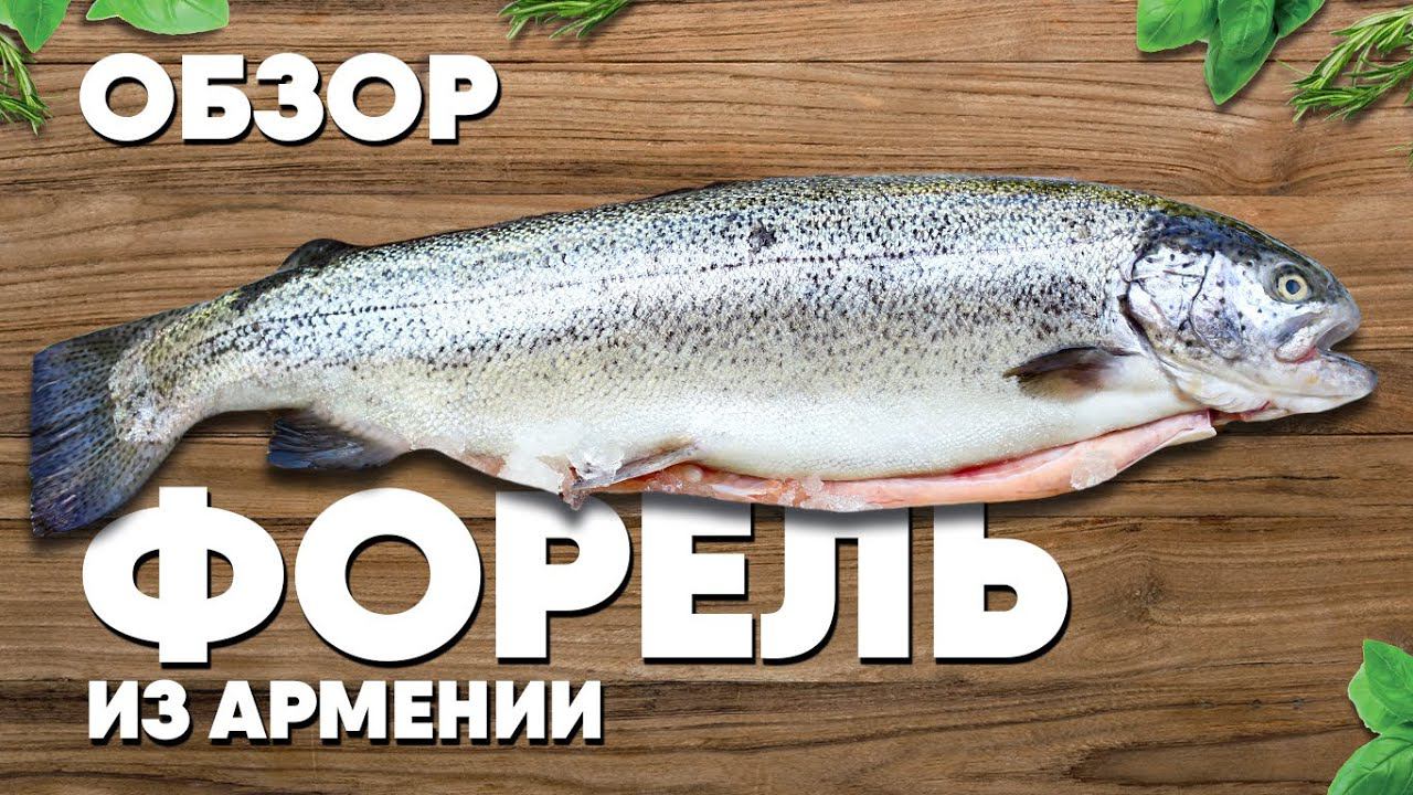 Обзор охлажденной ФОРЕЛИ из Армении. Как выбрать ФОРЕЛЬ? Аквакультурный лосось. Обзор красной рыбы