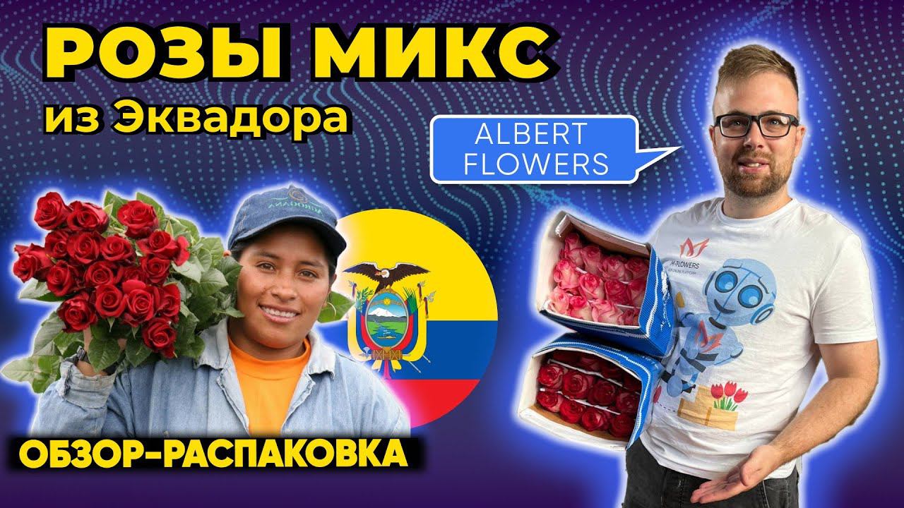 ОБЗОР-РАСПАКОВКА: коробки роз микс из Эквадора от плантации Albert Flowers