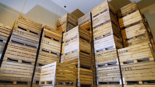 KidsBox_Level6_Unit4_CLIL_video