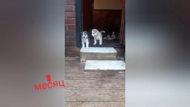 Стажёры испытательного отдела 1