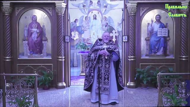 Ничего человеческого. Дикие звери убегают от человека, вот до чего мы дошли.