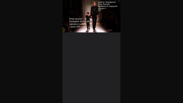Депутаты Екатерина Шалимова, Илья Поляков и #КРТ: по больным темам
