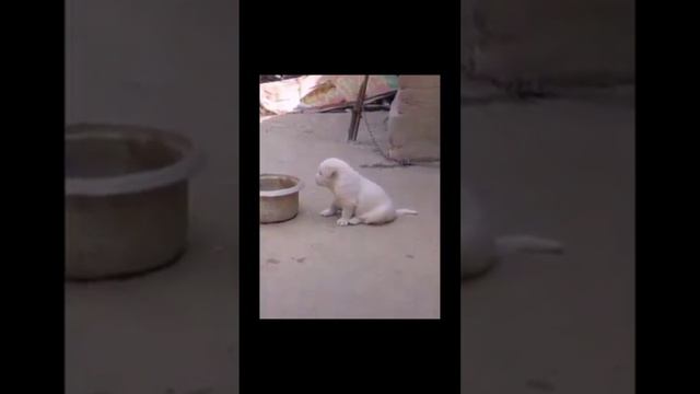 Дайте перекусить.mp4