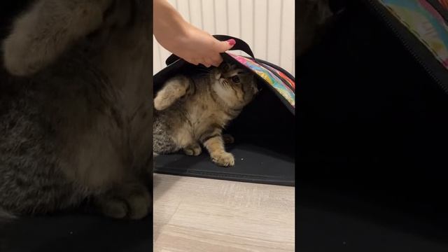 ещё раз так сделаешь, я тебе руку сломаю