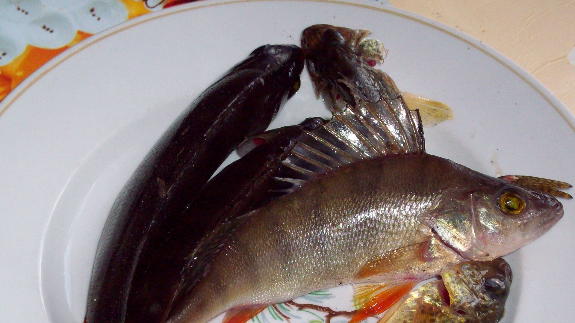 ZipBaits Rigge 35 (копия) сделал рыбалку