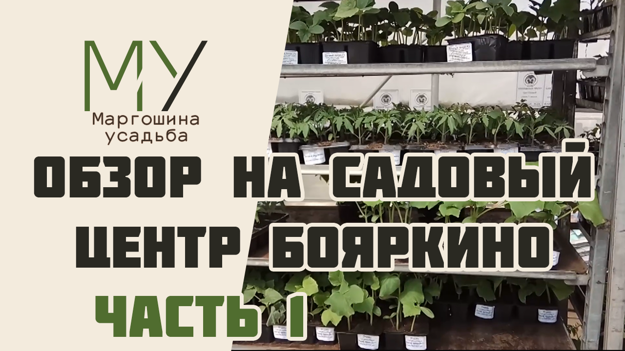 Обзор на Садовый центр Бояркино. Часть 1