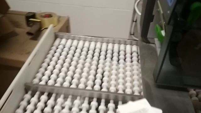 Линия взвешивания и маркировки ЛВМ80