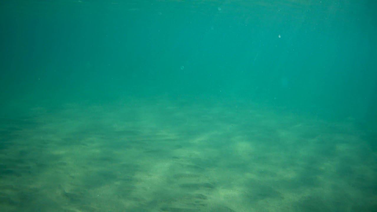 Черное море станица Благовещенская.(База отдыха Дорожник)