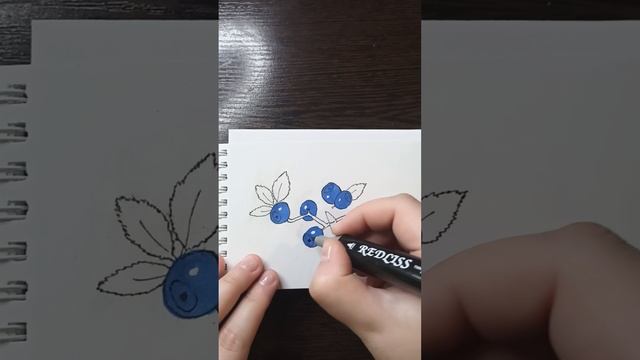 Черника маркерами