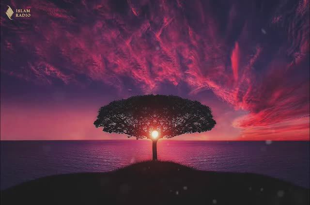 О рождении Пророка Мухьаммада, мир Ему.