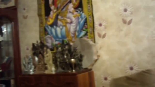 ЧИСТКА ДОМА... ДЛЯ ВСЕХ