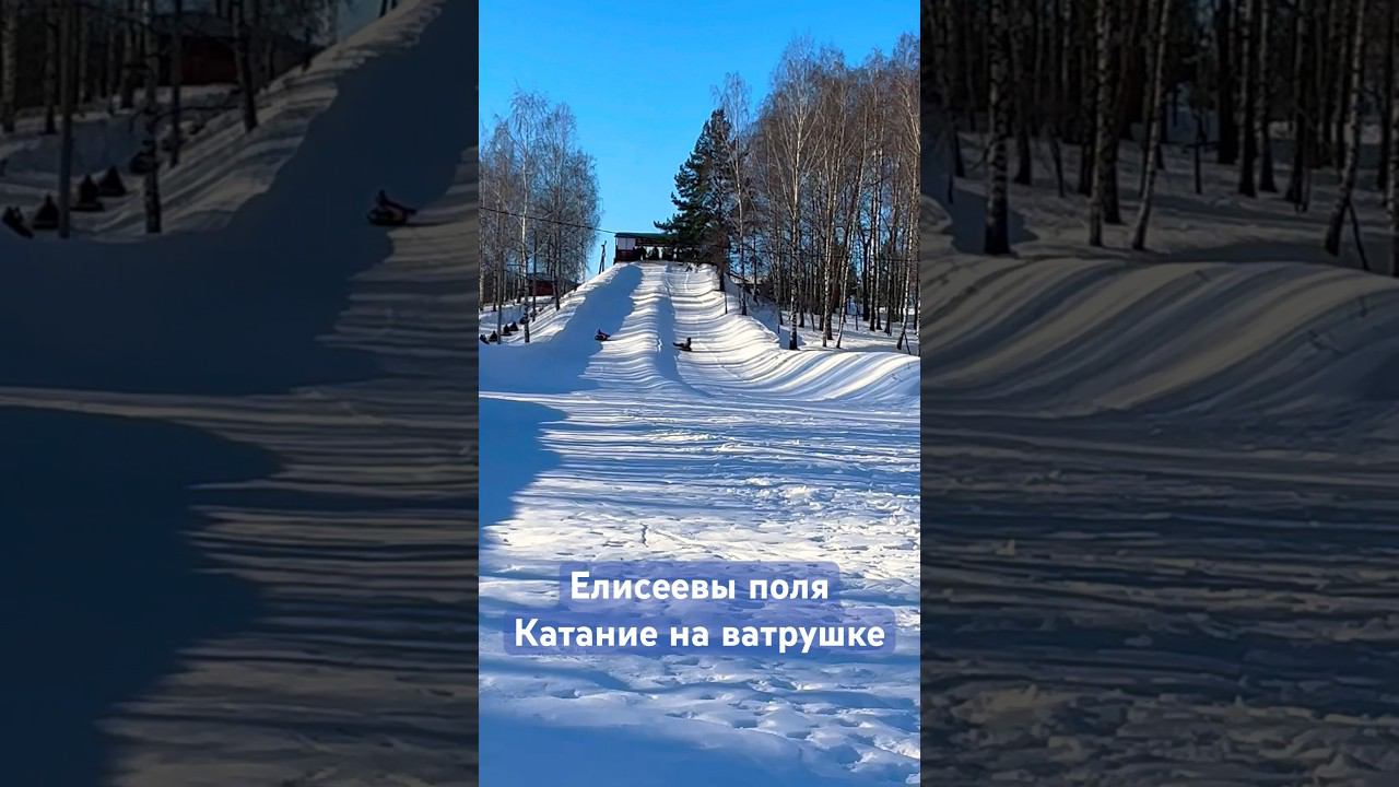 Покатались на большой горке ❄️  #елисеевыполя #катаниенагорке #тюбинг #сноутюбинг #зима #подпишись