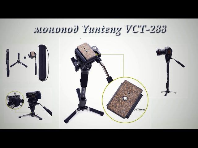 Монопод Yunteng VCT-288