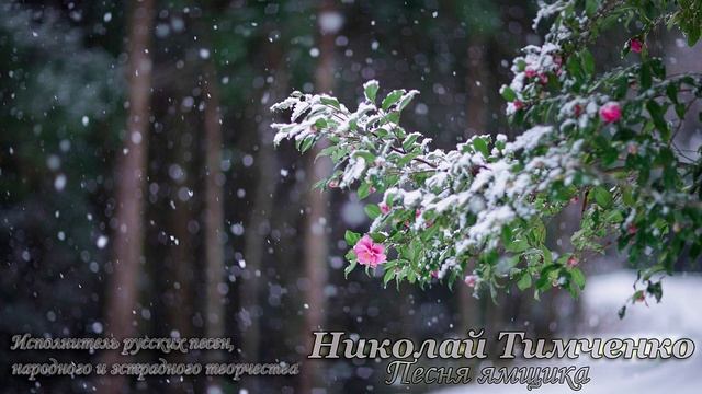 ? Николай Тимченко - Песня ямщика