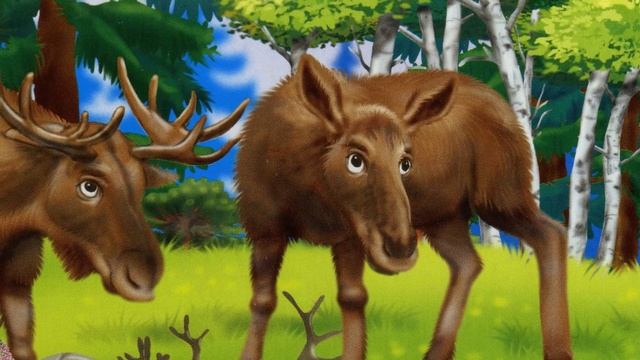 Почему у зайца длинные уши