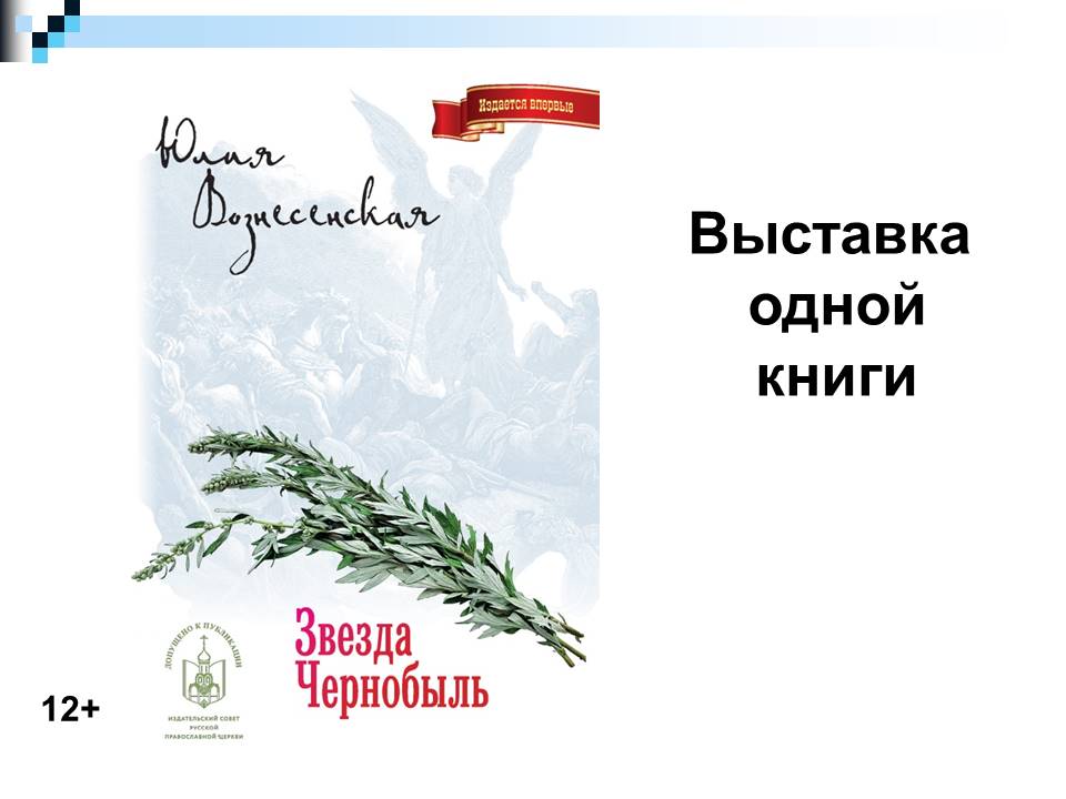 Видеовыставка одной книги «Звезда Чернобыль»