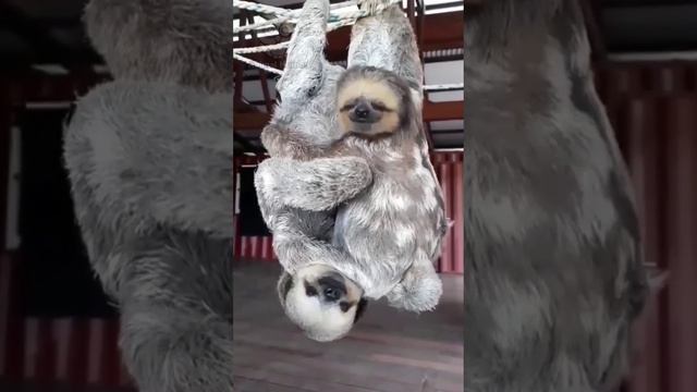 - Мы похожи на Инь и Янь?