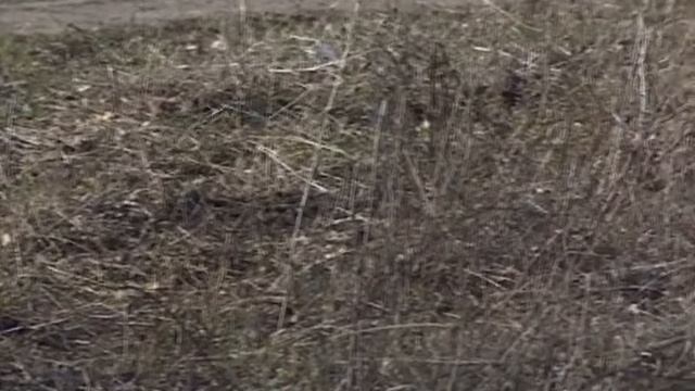 Осторожно огонь! Апрель 2011 год.