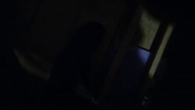 Последняя и самая тяжёлая ловушка с пчёлами, привёз сегодня 28 июля.