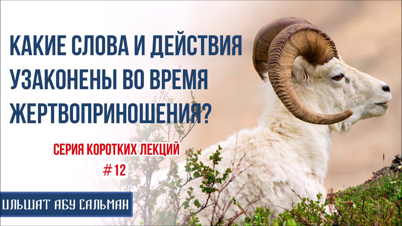 Ильшат Абу Сальман. Какие слова и действия узаконены во время жертвоприношения? Лекции Курбан-Байрам