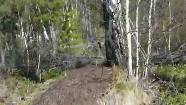 Ориентирование по муравейнику (продолжение) 27!