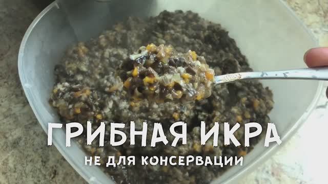 Грибная икра | Закуска из лесных грибов и овощей
