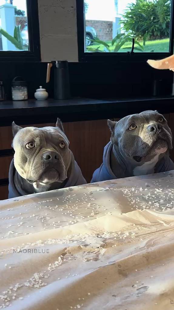 Особое блюдо для любимых друзей Еда для семьи Самые экзотические блюда мира Рецепт и еда блюд