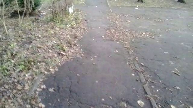 Задний двор дома по Московскому проспекту 80-90. Калининград, 16.12.2021