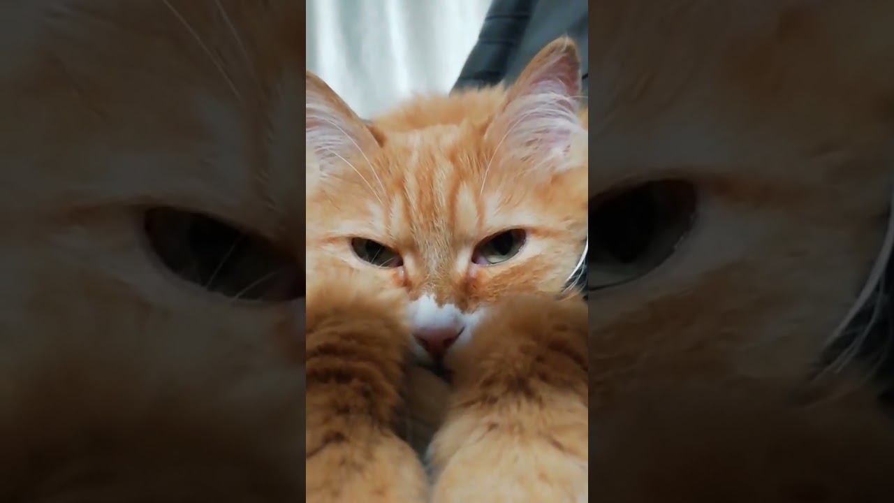 Само спокойствие🥰