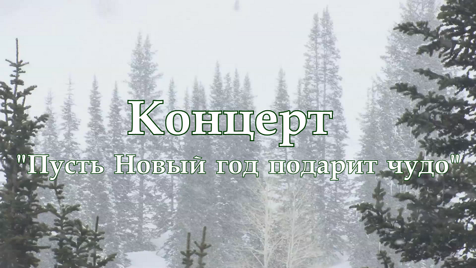 Концерт «Пусть Новый год подарит чудо»