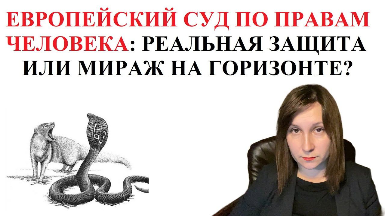 ЕВРОПЕЙСКИЙ СУД ПО ПРАВАМ ЧЕЛОВЕКА - ЕСПЧ - опыт обращения и мнение адвоката