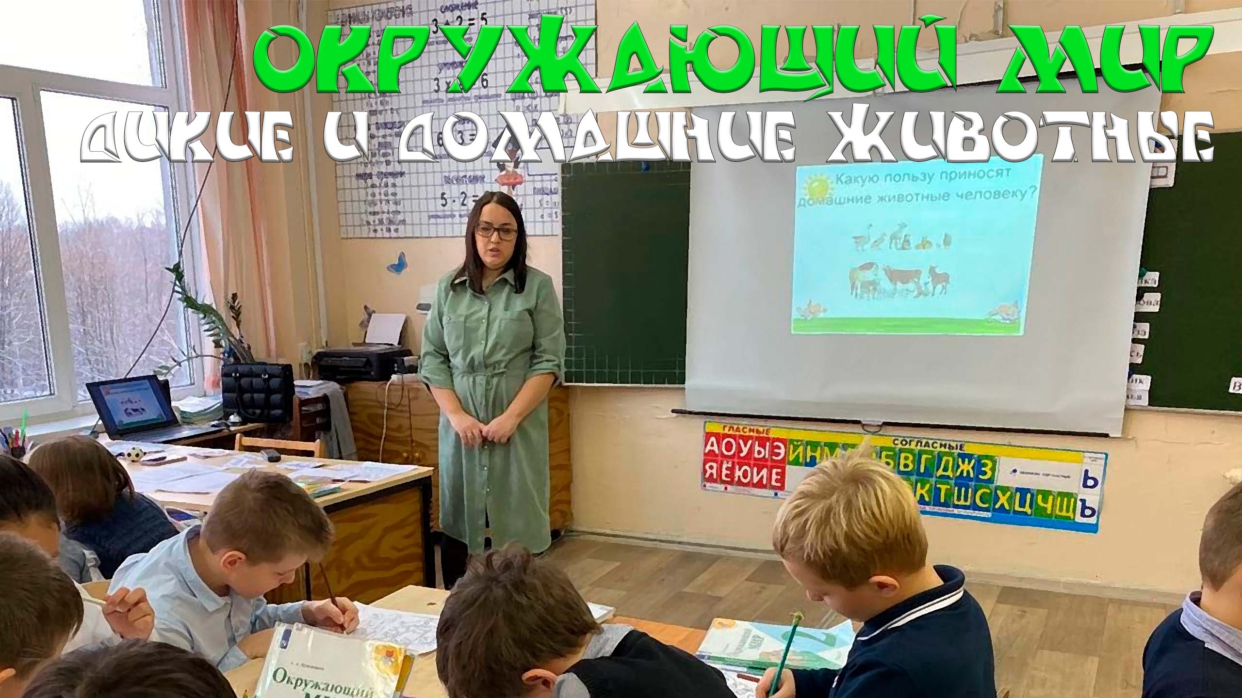 Урок окружающего мира (17.11.2022)