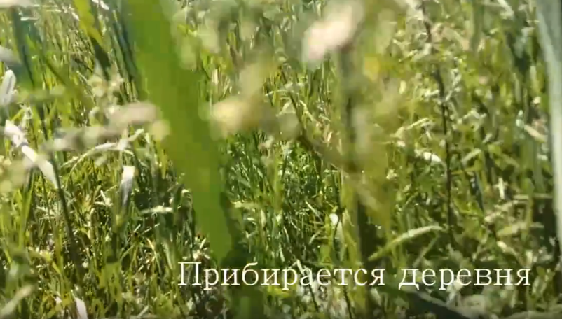 «Прибирается деревня» (Максим Юрин. Поэт)