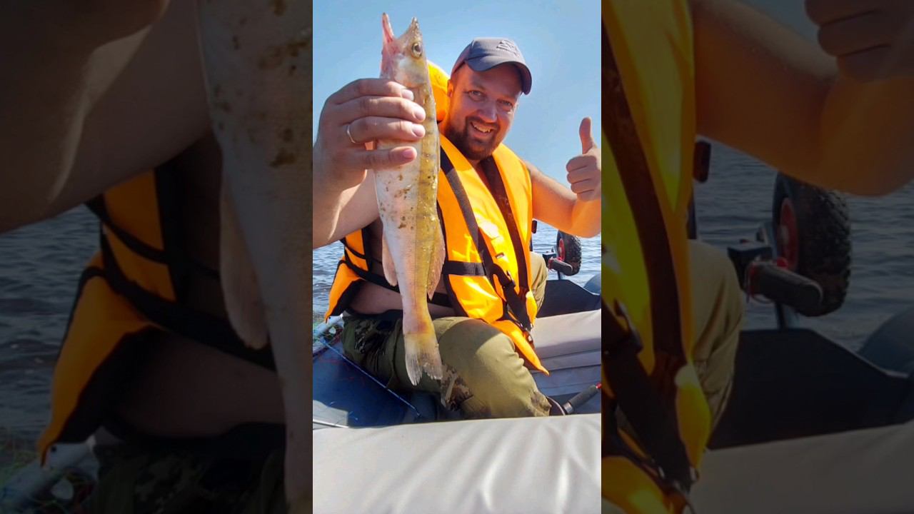 Рыбалка на троллинг/Поймал своего первого судочка