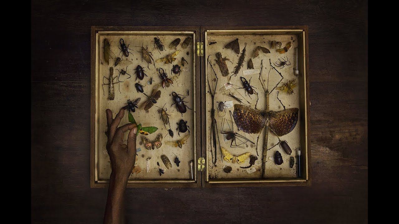 Юрий Притиск о фотопроекте "Amani" Евгении Арбугаевой