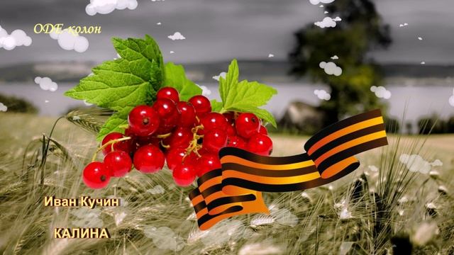 Иван Кучин - Калина