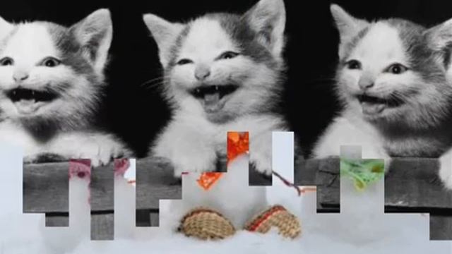 Забавные зверушки и рукоделие.mp4