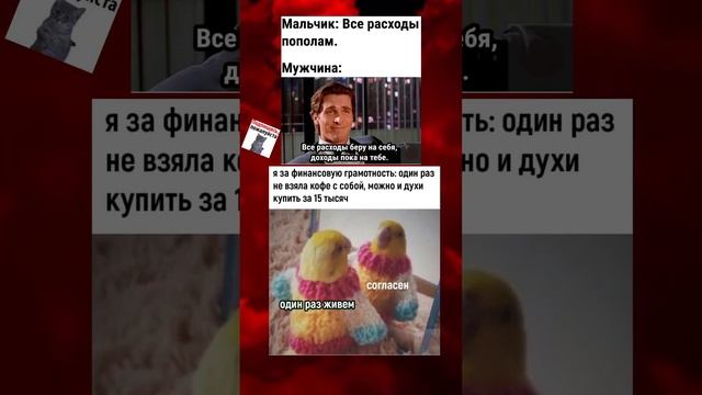 #рек #юмор #мем #мемы