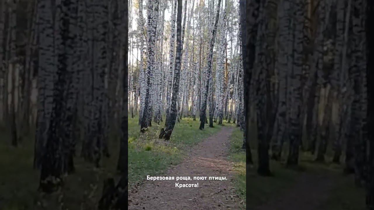 16 мая 2024 г.