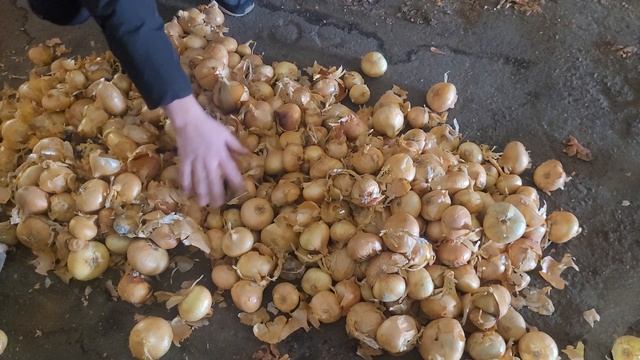 Штутгарт 2 марта 2024 год