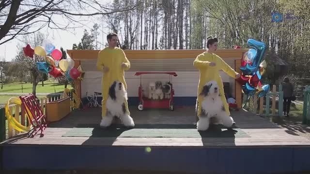 ДР Георгия 7 лет