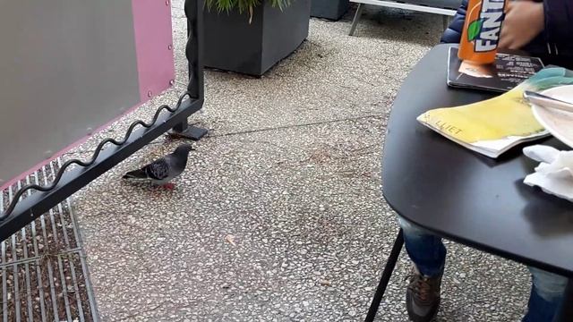 Аквалангист у входа Старого порта Марселя