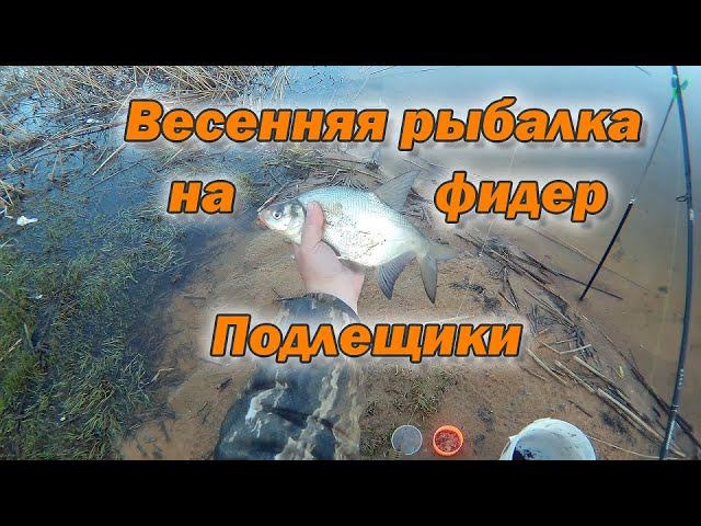Весенняя рыбалка на фидер. Подлещики