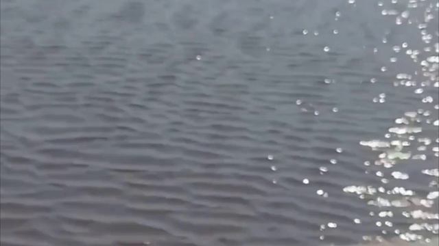 Дизельный вездеход Питон / ШОКавто