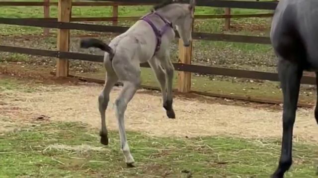 Яркие моменты - выпуск 4