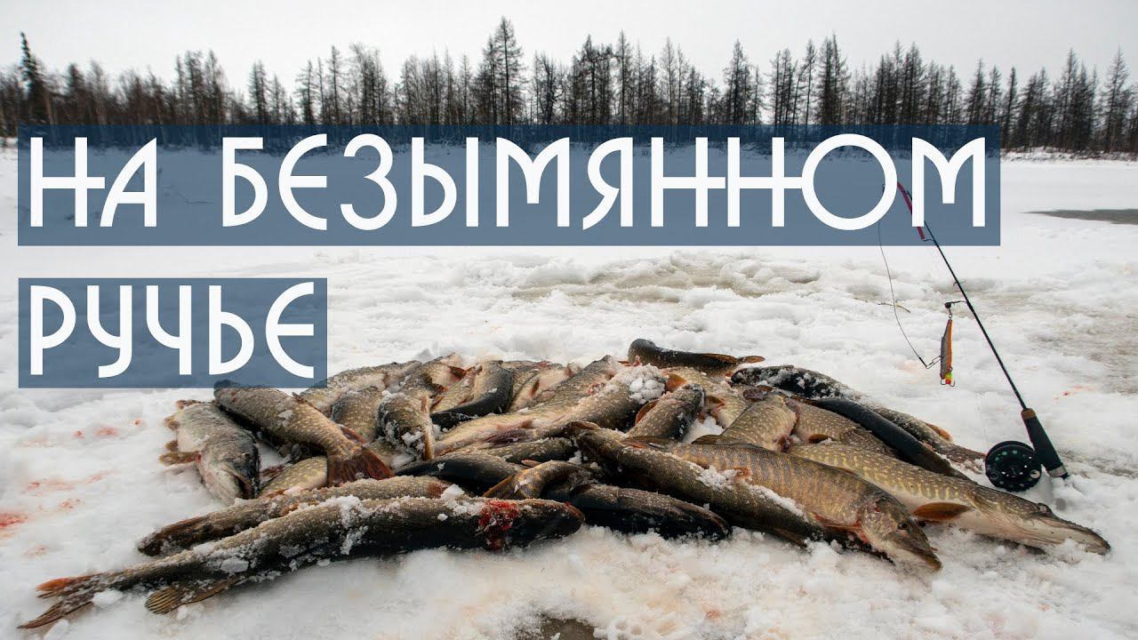 Зимняя рыбалка на безымянном ручье возле Нового Уренгоя. Первый лед. DF 62