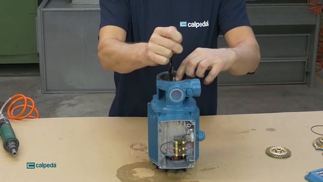 Calpeda T, TP / Сборка