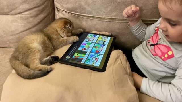 Котёнок вместе с племянницей смотрит мультики