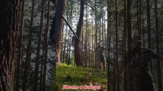 Вот как надо гулять с питбулем часть 6